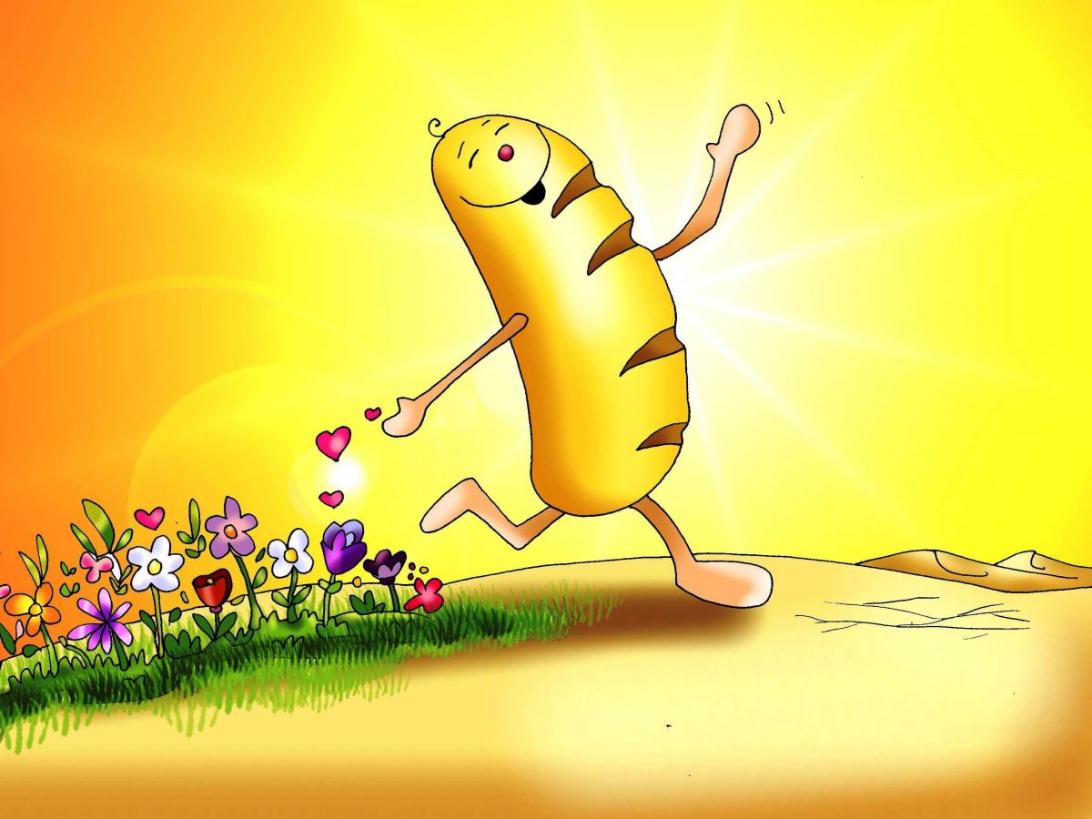 18º Domingo del Tiempo Ordinario: Un pan que une corazones. | Canta y ...